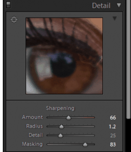 How To Get Sharp Eyes In A Portrait (7 Steps To Nail Focus)