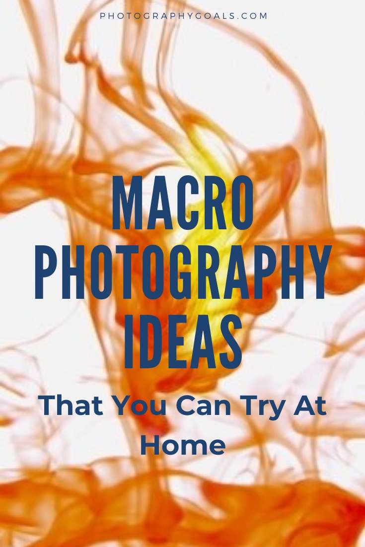 10 & 1/2 Macro Photography Ideas To Try At Home