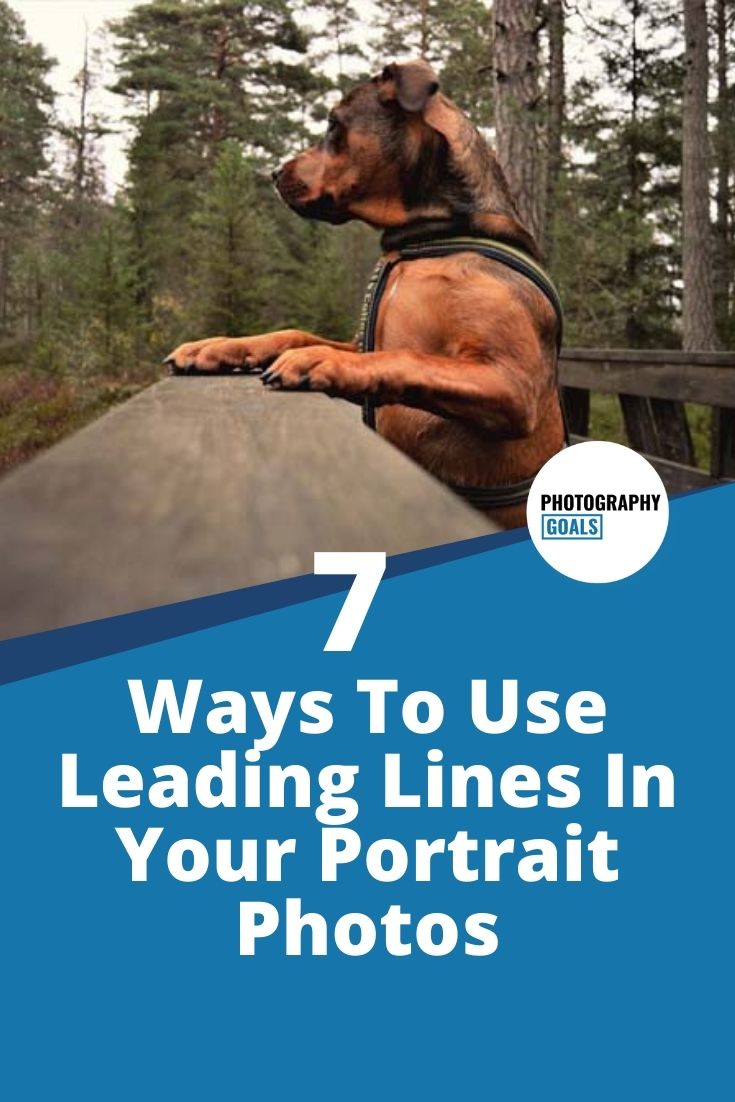 7 Ways To Use Leading Lines In Your Portrait Photography
