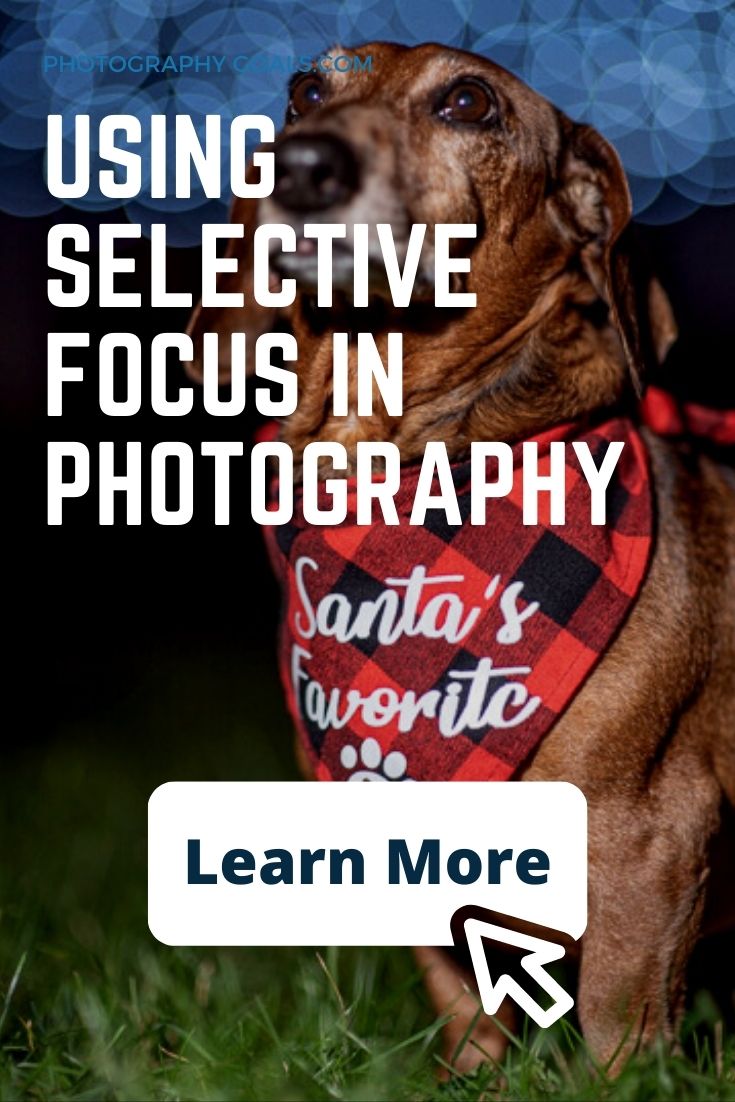 Selective Focus In Photography (...and how to use it well)