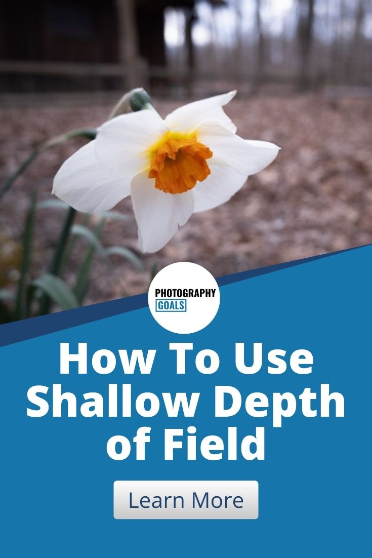 Selective Focus In Photography (...and how to use it well)