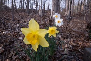 Selective Focus In Photography (...and how to use it well)