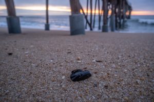 Selective Focus In Photography (...and how to use it well)