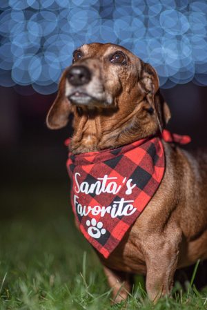 Selective Focus In Photography (...and how to use it well)