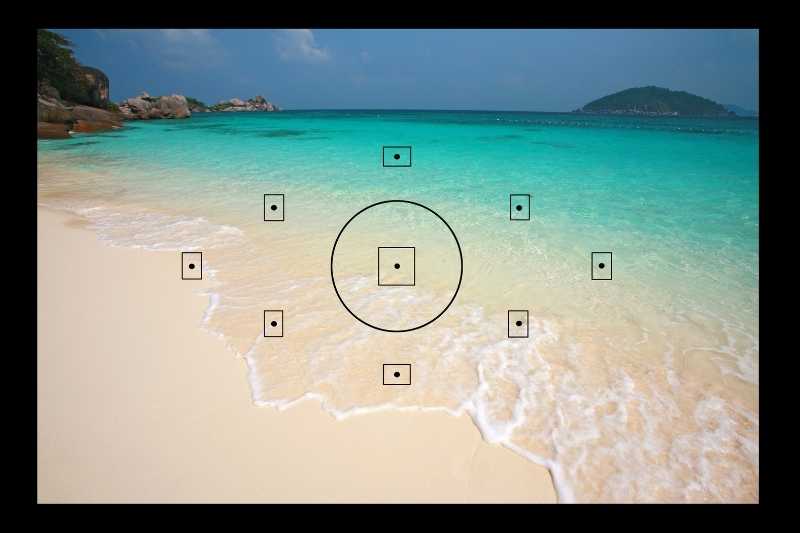 Understanding Camera Focus Modes (A Beginner's Guide)