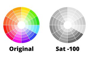 Vibrance vs. Saturation In Lightroom (And when to use them)